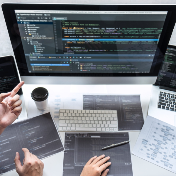 Software Consulting – Nirnaya System